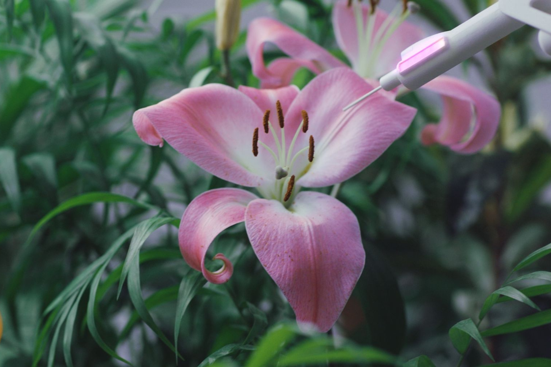 Dvein | MArch Master in Architecture and Design