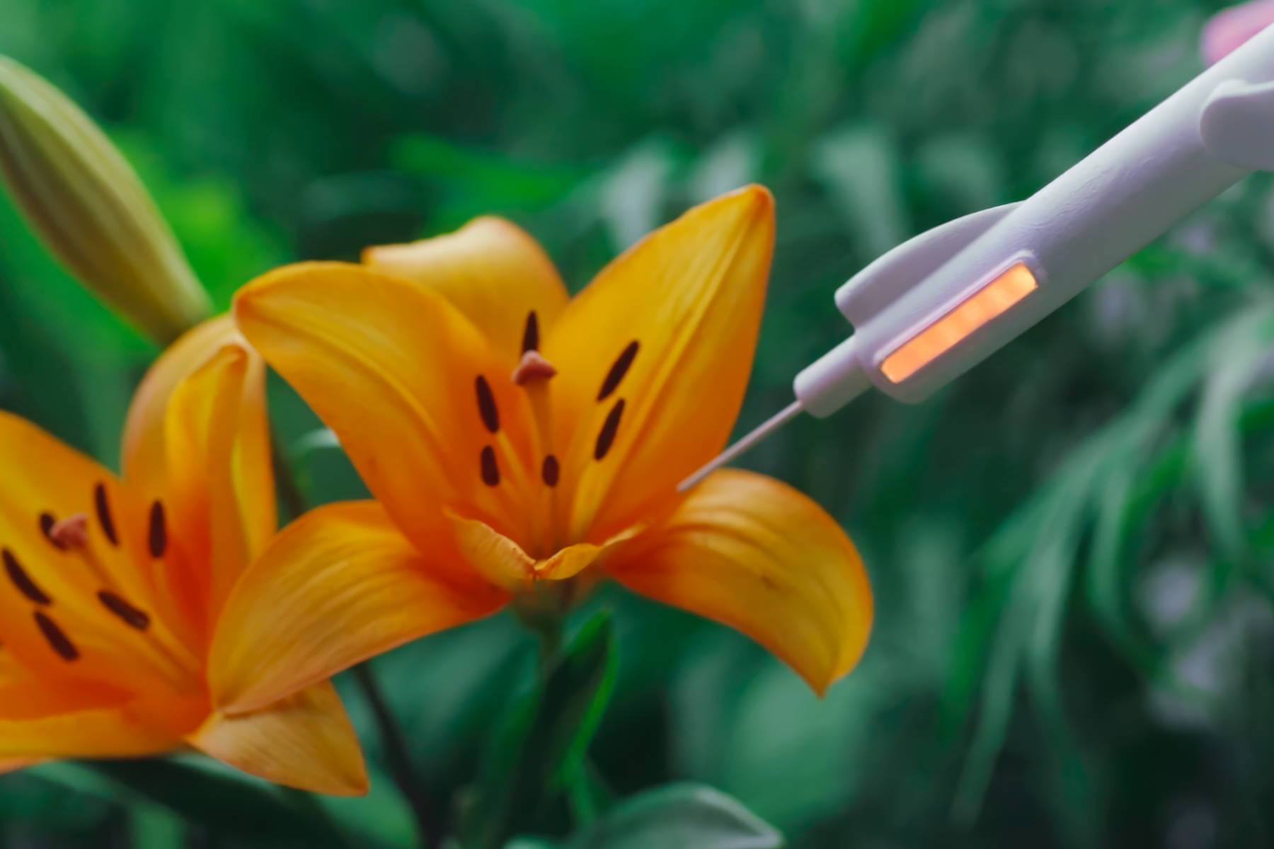 Dvein | MArch Master in Architecture and Design